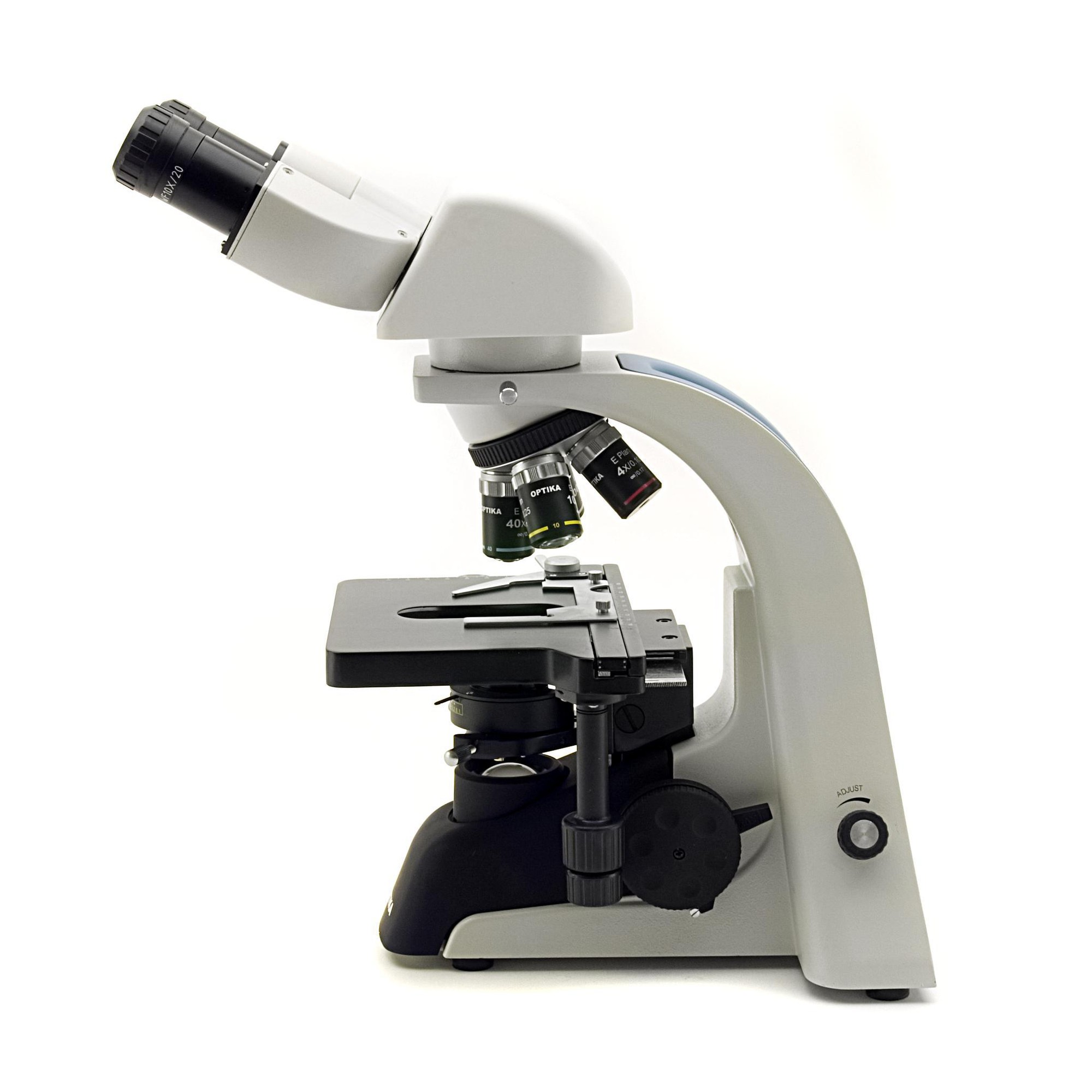 Optika B-352Pli microscopio binoculare