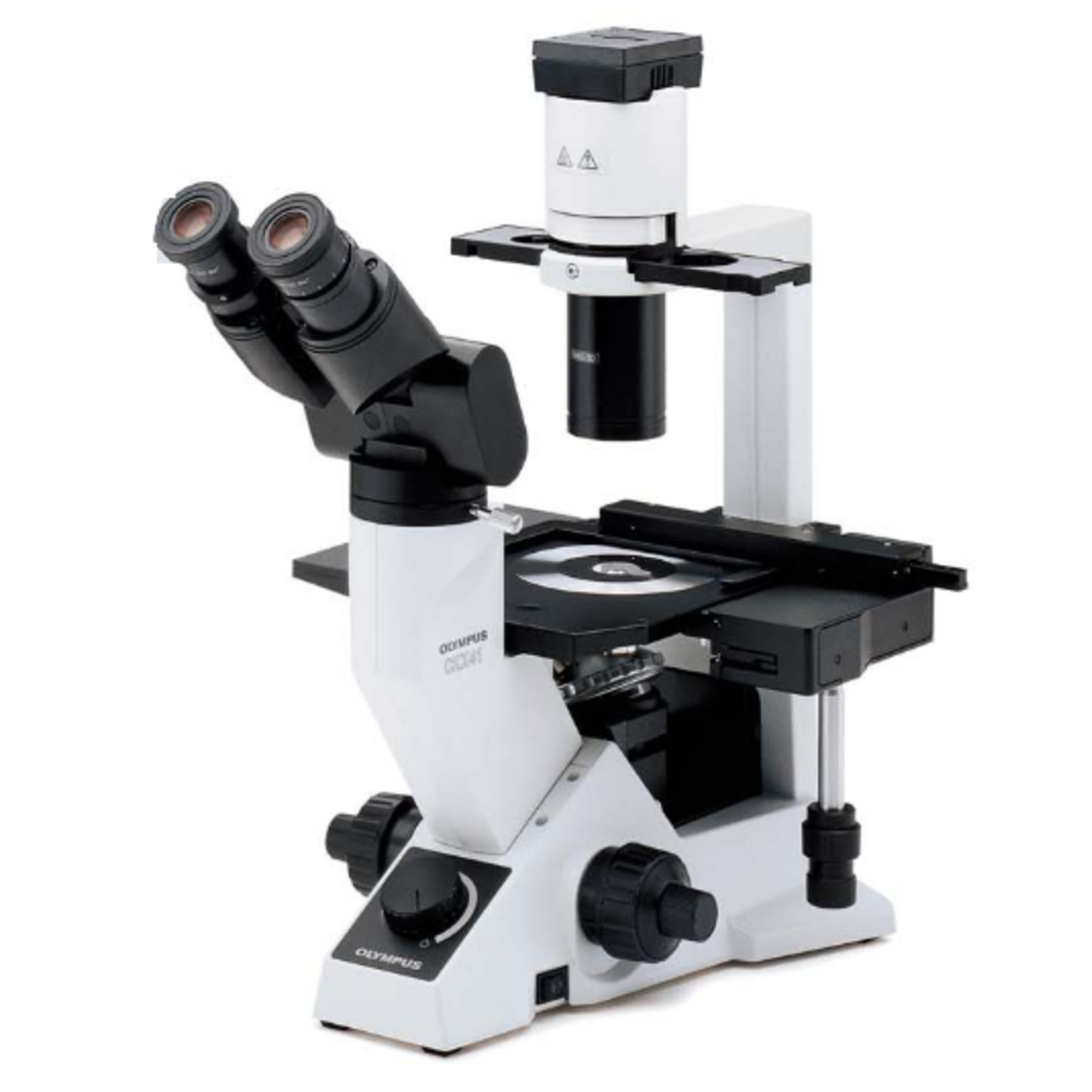 Olympus Microscope CKX41, bino, ergo, Hal, 40x, 100x, 200x, 400x