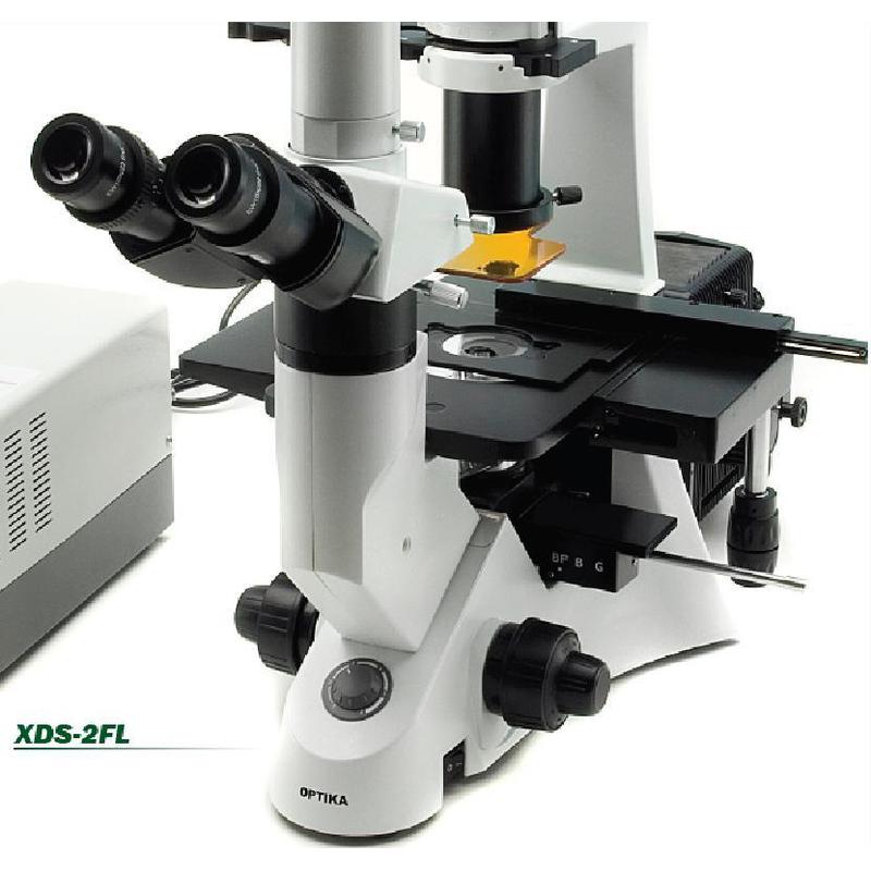 Optika XDS-2FL, Microscópio triocular de fluorescência inverso