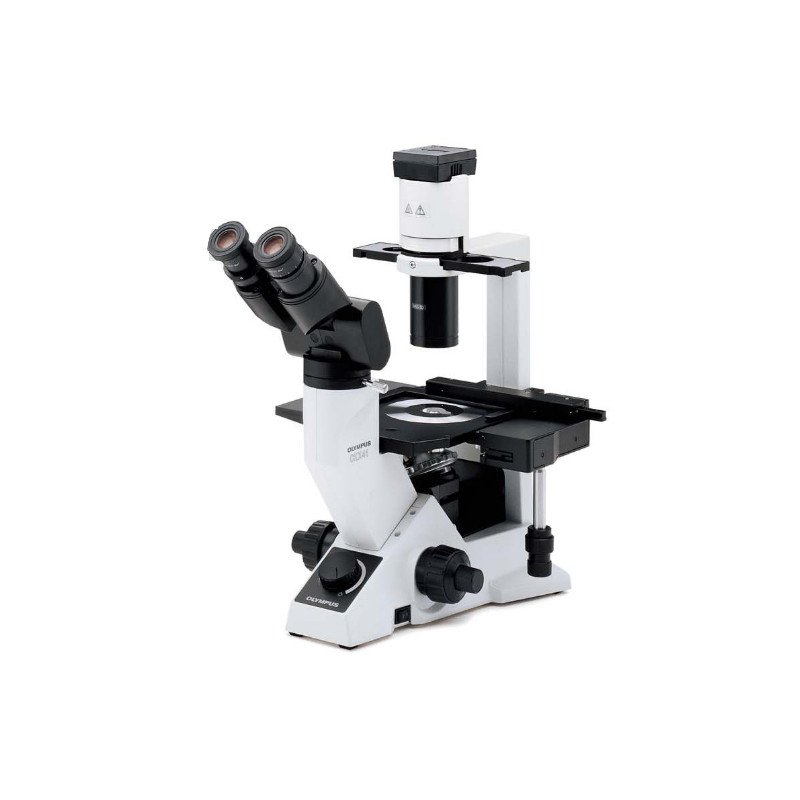 Olympus Microscope CKX41, bino, ergo, Hal, 40x, 100x, 200x, 400x