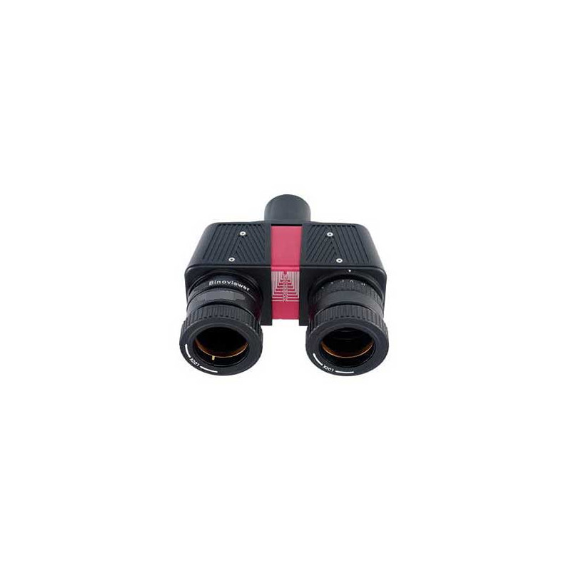 TS Optics Binocular head 1.25" bino-viewers